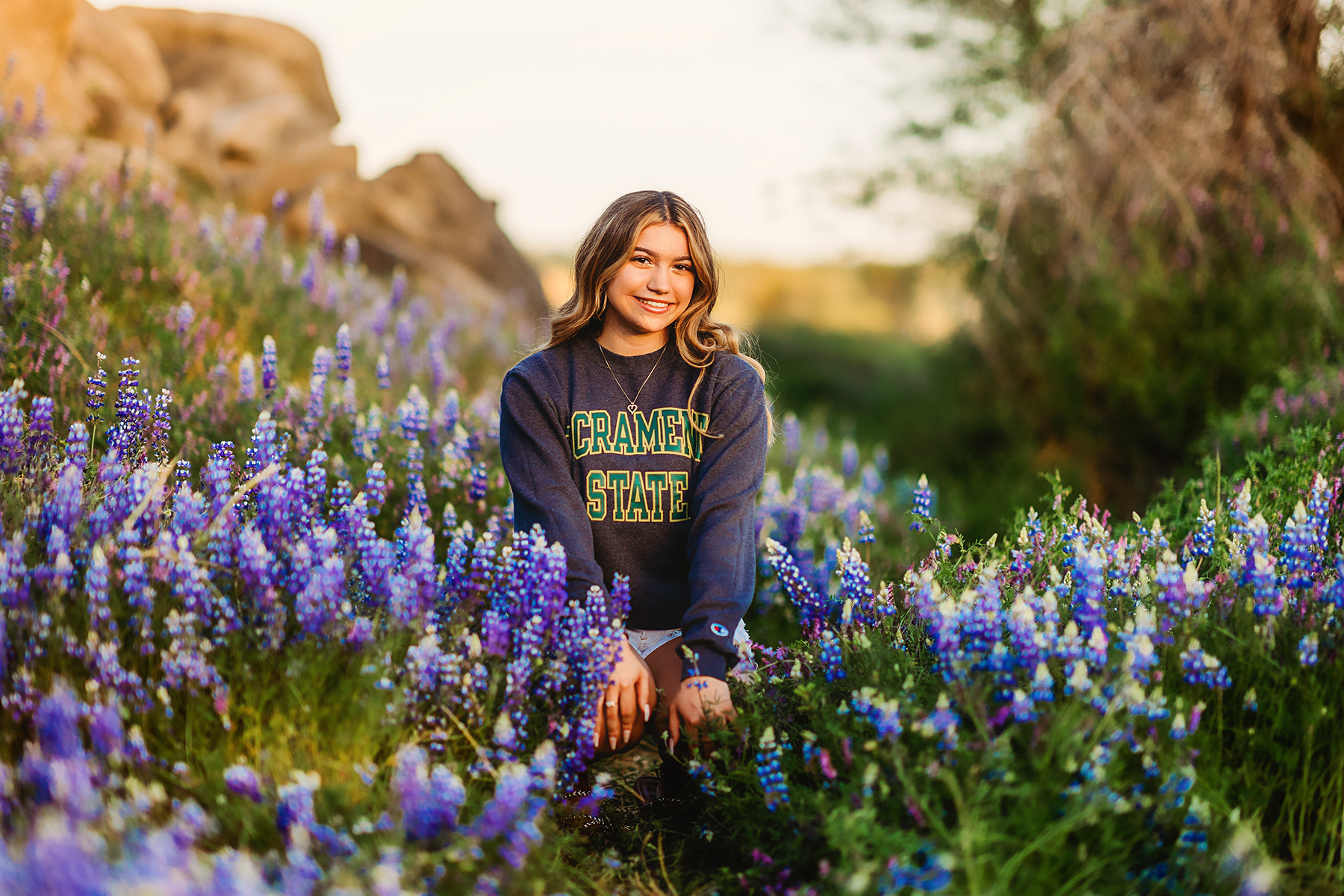 Folsom Lake Photo Session | Capturing the Lupines ...